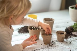 The Rise Of Forest Schools and The Impact On Child Development